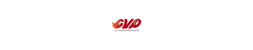 CV PERFORMANCE